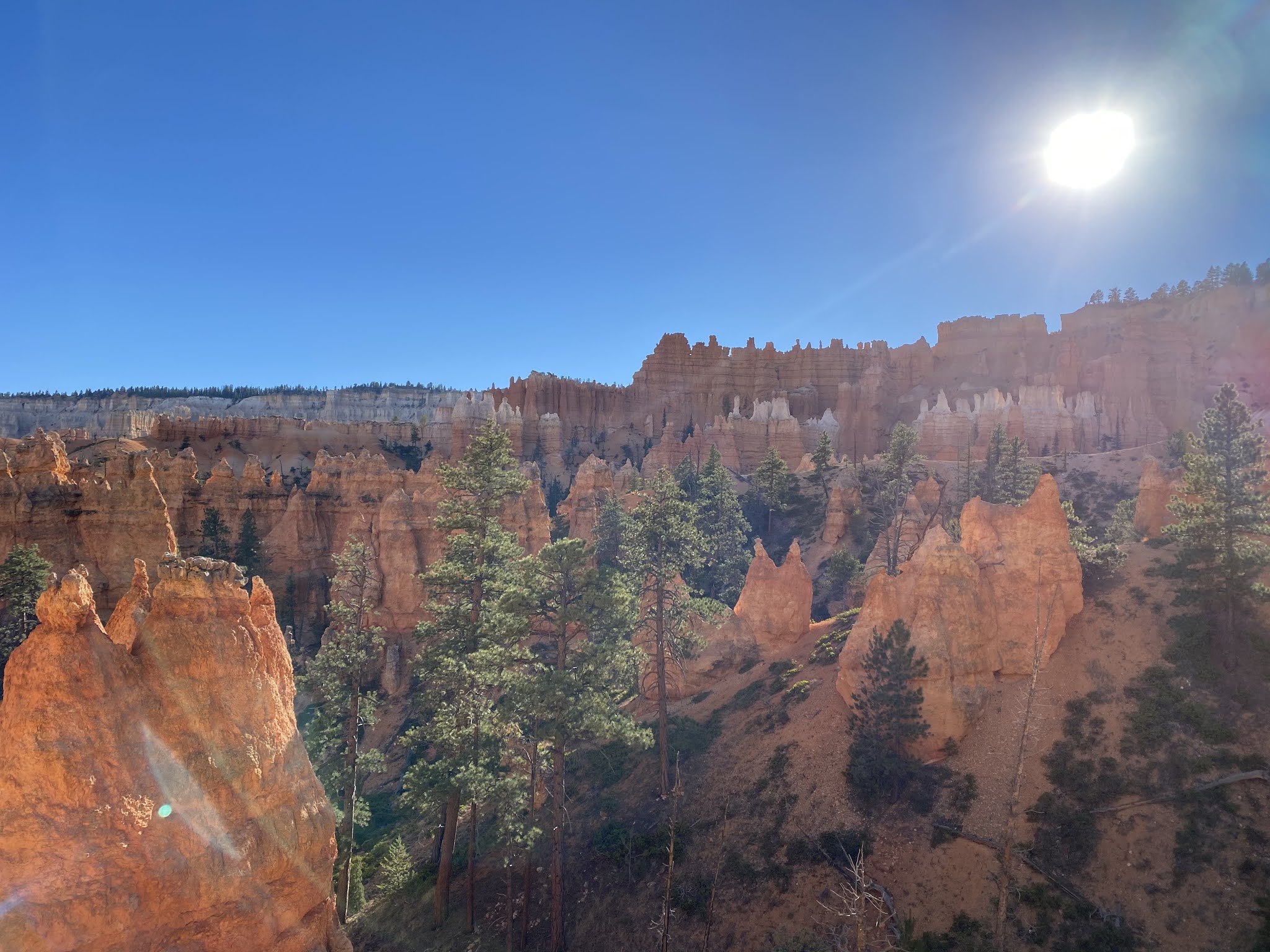 Arches and Zion National Park, Moab UTAH and Vegas | Steven Pivnik