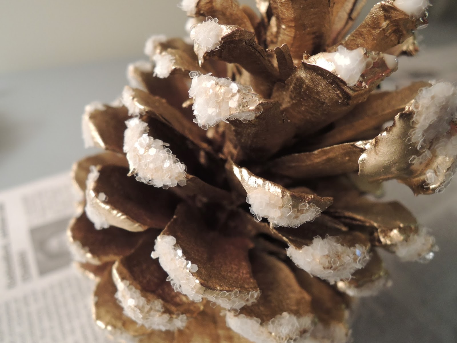 Holly Goes Lightly: DIY Painted Pine Cones