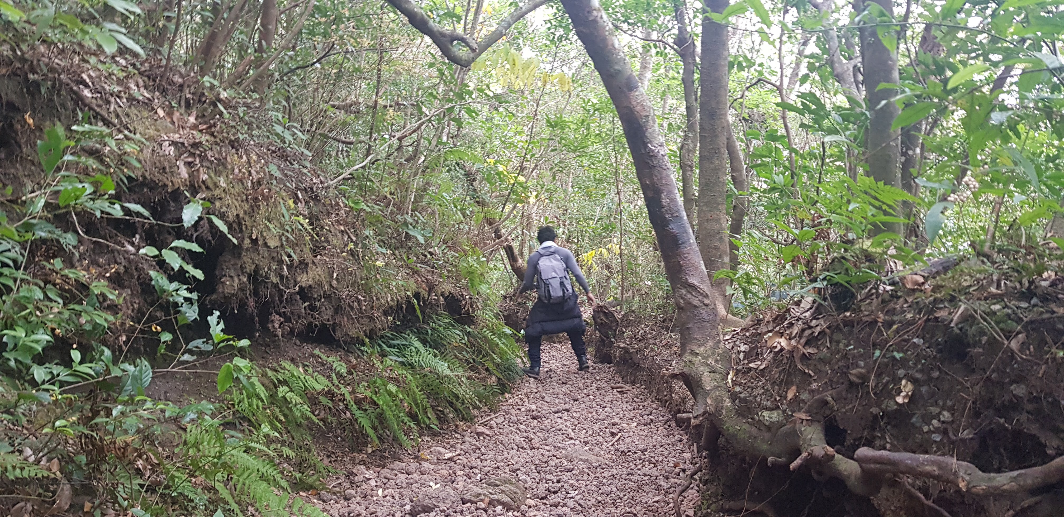 (開聞岳) Mt. Kaimon Hike