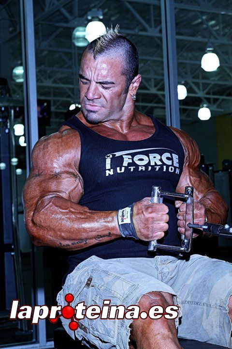 SUPLEMENTOS DEPORTIVOS: REVERSITOL V2 84 CÁPSULAS