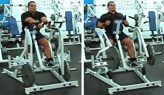 8 Great Back Workout Exercises of Legends - Body Building Craze