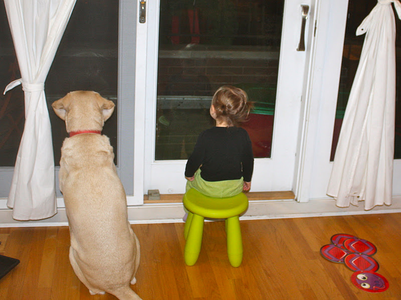 The Evolving Elseners Waiting For Daddy
