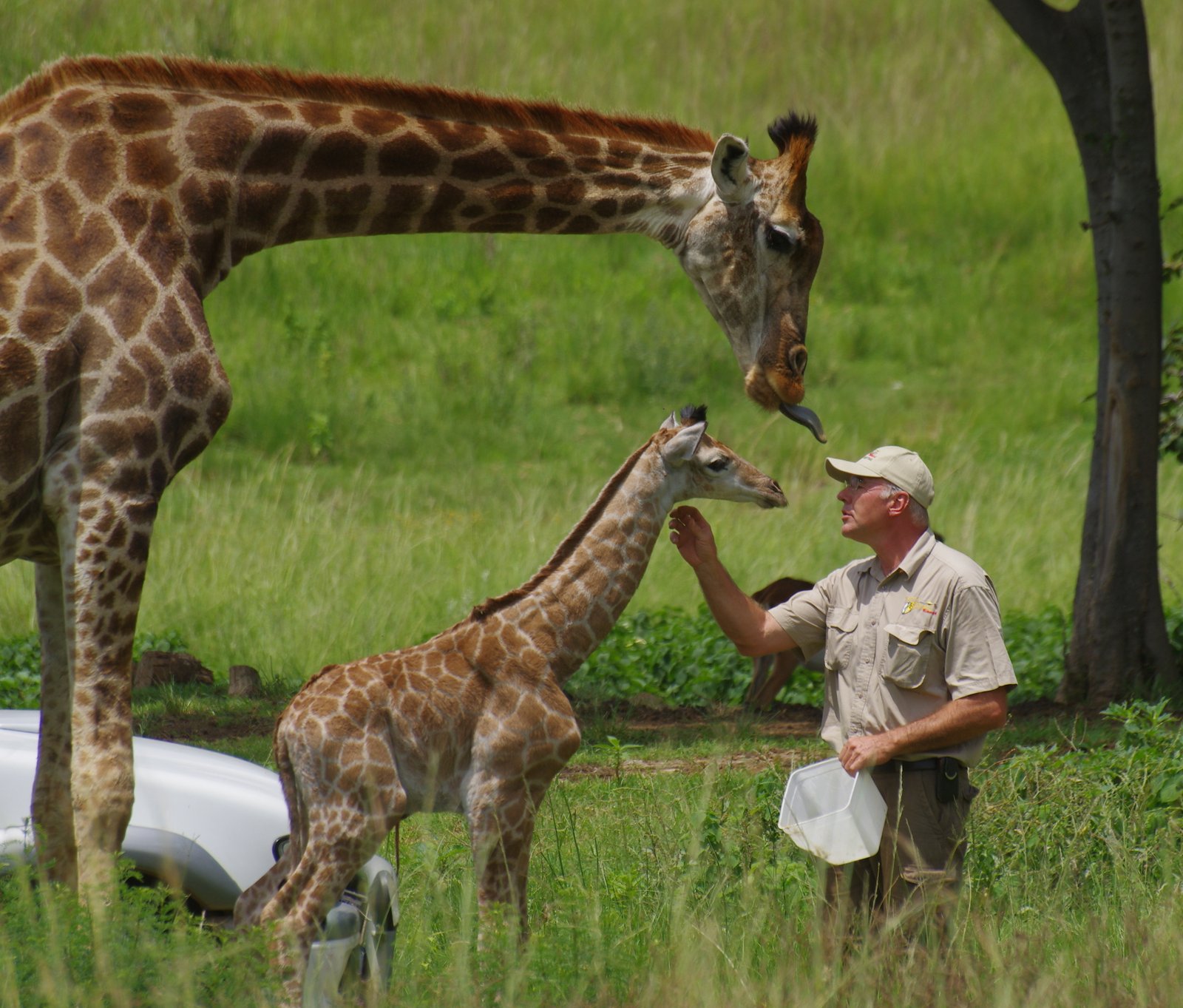Crazy Dane in Africa.......yes , that's me !!!: A TRIBUTE TO THE ...