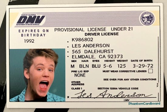 Cast Of License To Drive