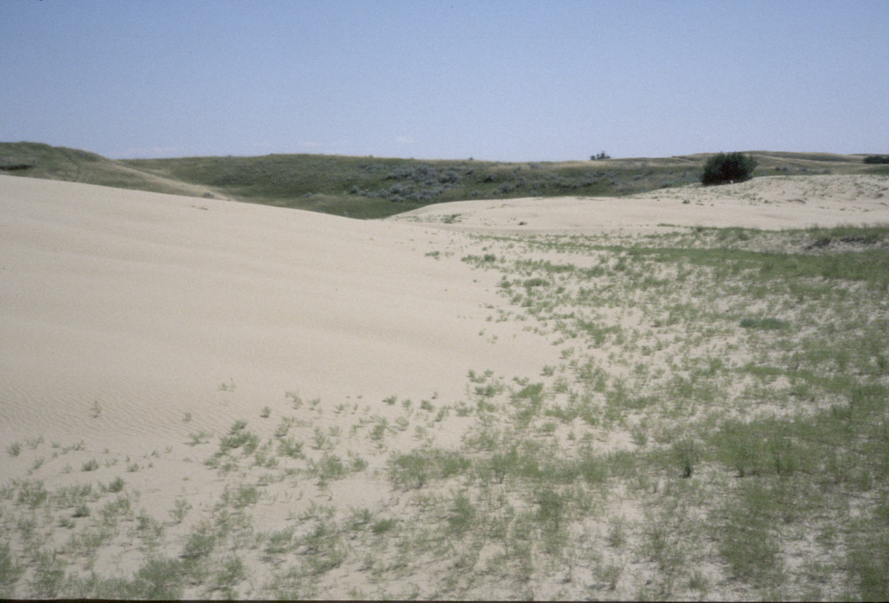 The Science of Dirt: Other soil parent materials found in Saskatchewan