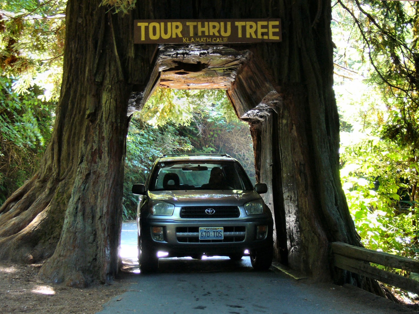 How Was Your Trip?: Redwoods NP, Oregon Caves, and Lassen NP