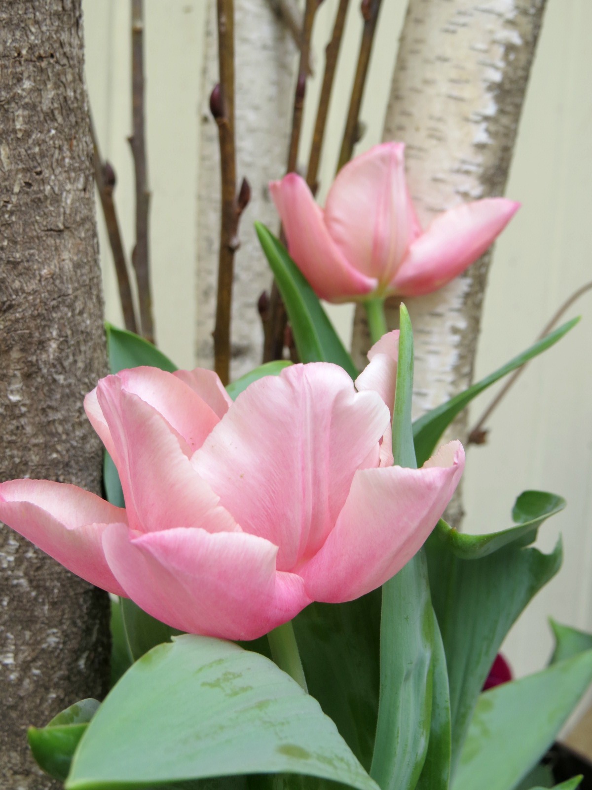 DesignsandEvents: Decorating the Front Porch with Spring Flowers