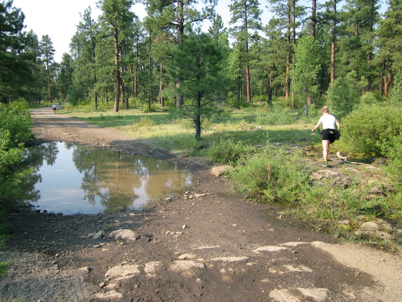 Not THAT Lucas: What a difference a week and 1000 miles makes