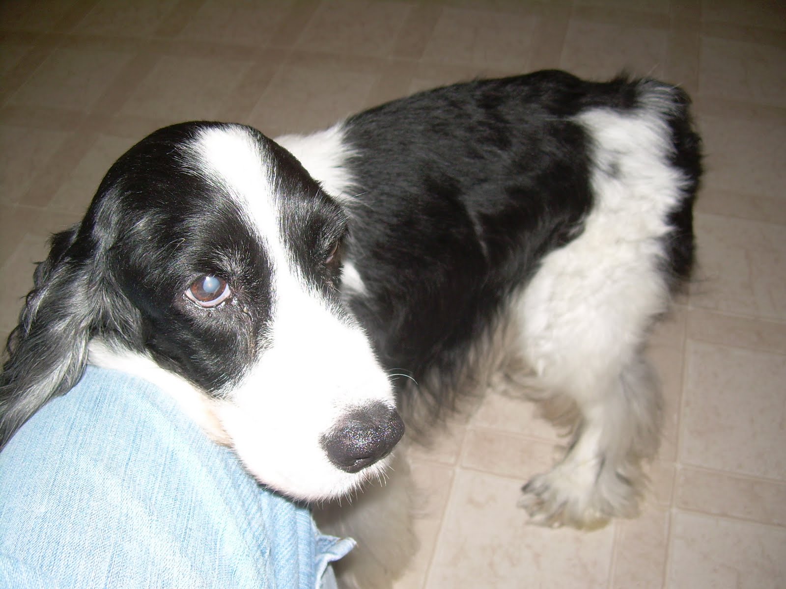 Through The Barn Door: When Life is Not Fair