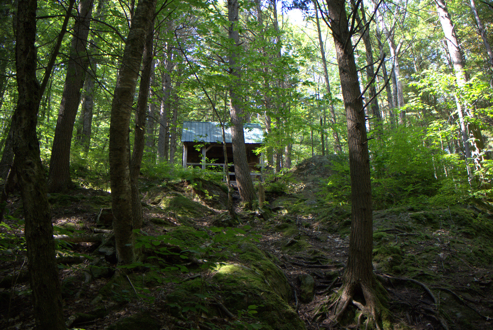 Along the NET-Cohos: MA NET Section 18b- 19a Royalston Falls/ NH Border