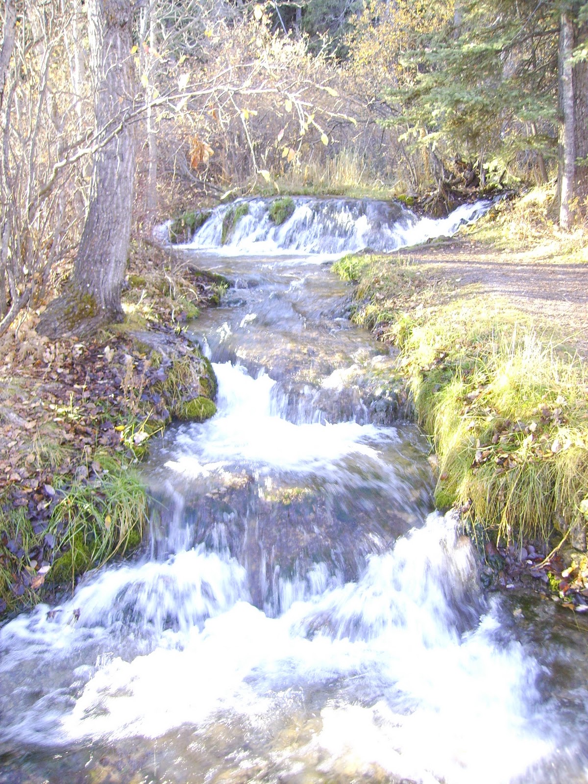THE WORDSMITH MILL: Big Hill Springs Provincial Park Alberta: A ...