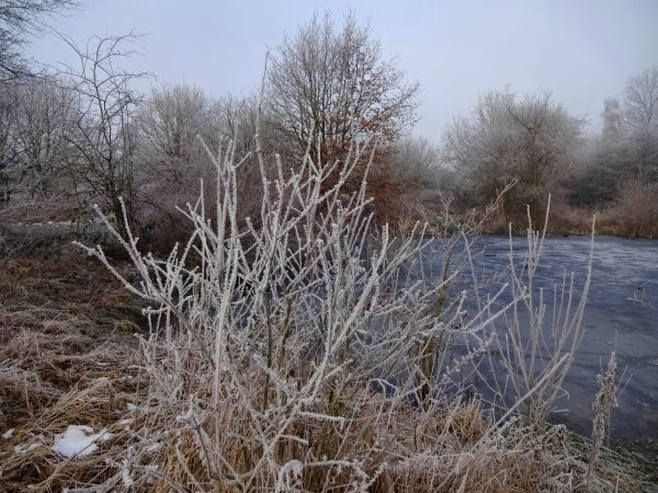 West Midlands Exploration: Winter in West Wolverhampton