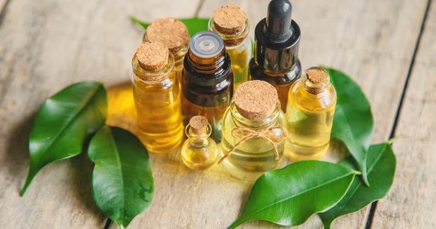 10 Ways Tea Tree Oil is Good for Your Health