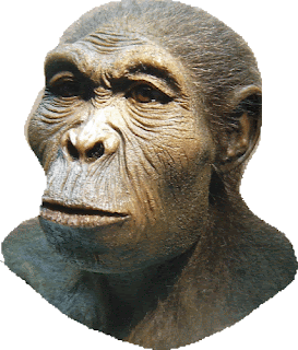 UCSP - 2 Human Biocultural and Social Evolution ~ Module ko, Module mo ...