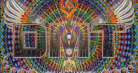 What is DMT and what are the risks?