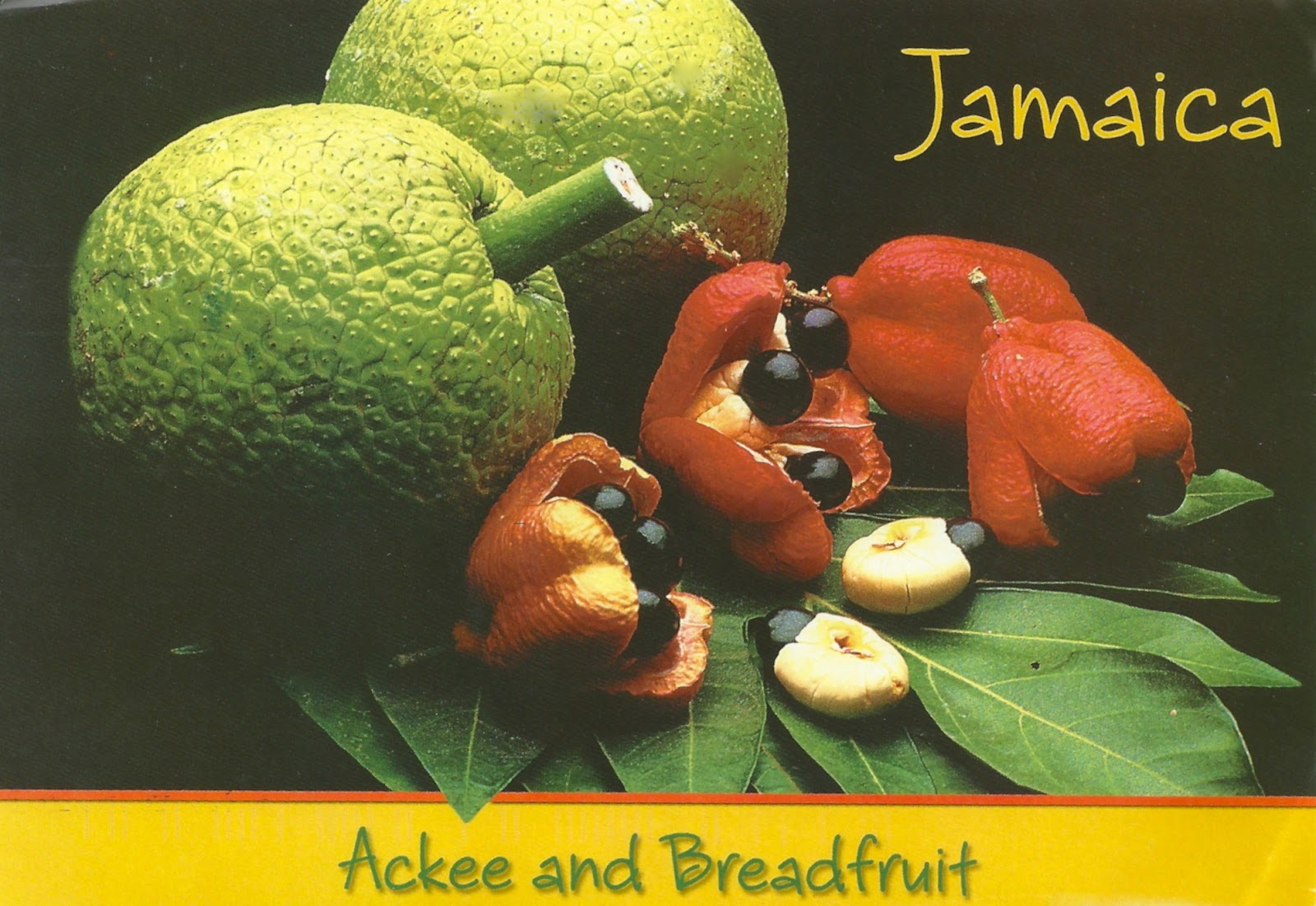 My Favorite Postcards: Food in Jamaica - Ackee and Breadfruit