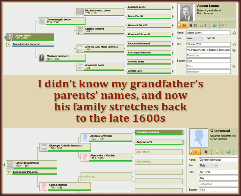 Fortify Your Family Tree: 3 Steps to My Ultimate, Priceless Family Tree