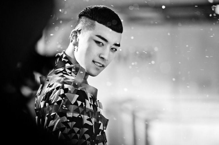 elf official super junior