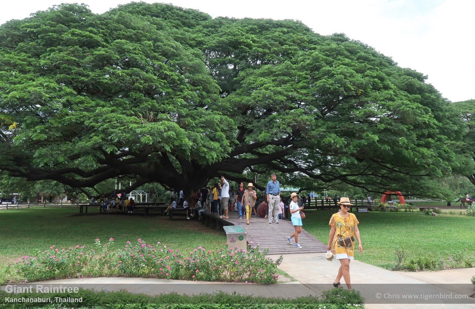Life in Kingdom of Thailand: Exploring the sleepy town of Kanchanaburi ...