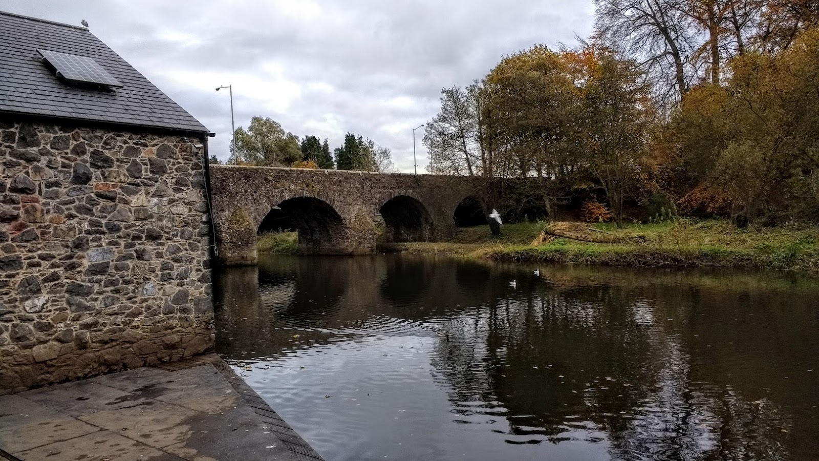 A Passion For Cards: Shaw's Bridge and the River Lagan, Belfast