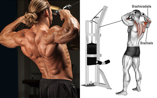 4 Muscle-Building Shoulder Exercises To Build 3D Shoulders