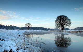 Fondo de Pantalla Paisaje Lago frio | Fondo Pantalla Online