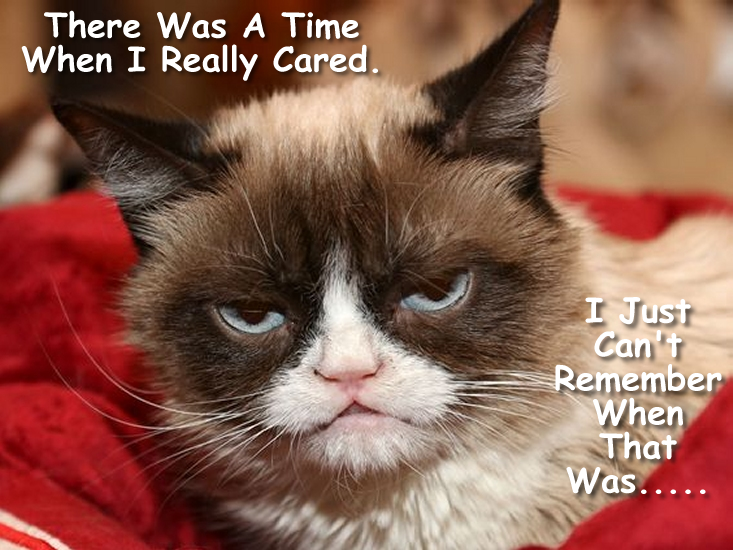 Grumpy Cat Brother Memes