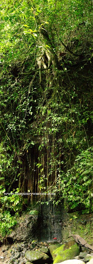 Path of Rituals in Mt. Banahaw - Filipino Culture by The Pinoy Warrior