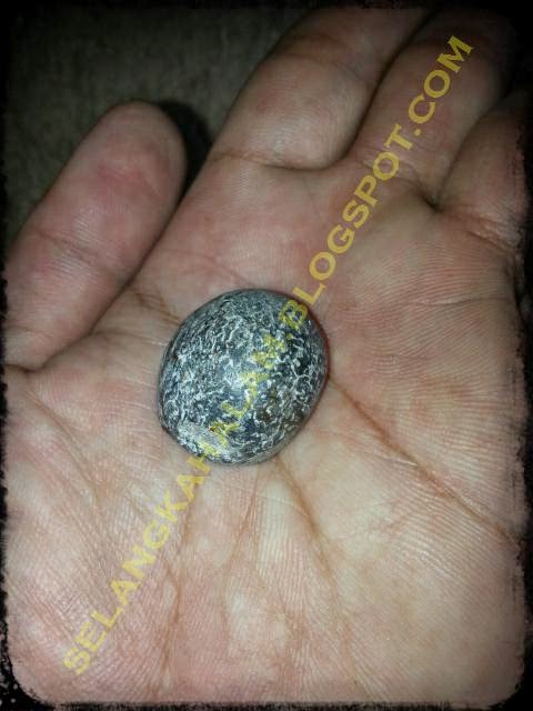 SELANGKAH KE ALAM MISTIK: FOSEL TELUR ULAR PURBA