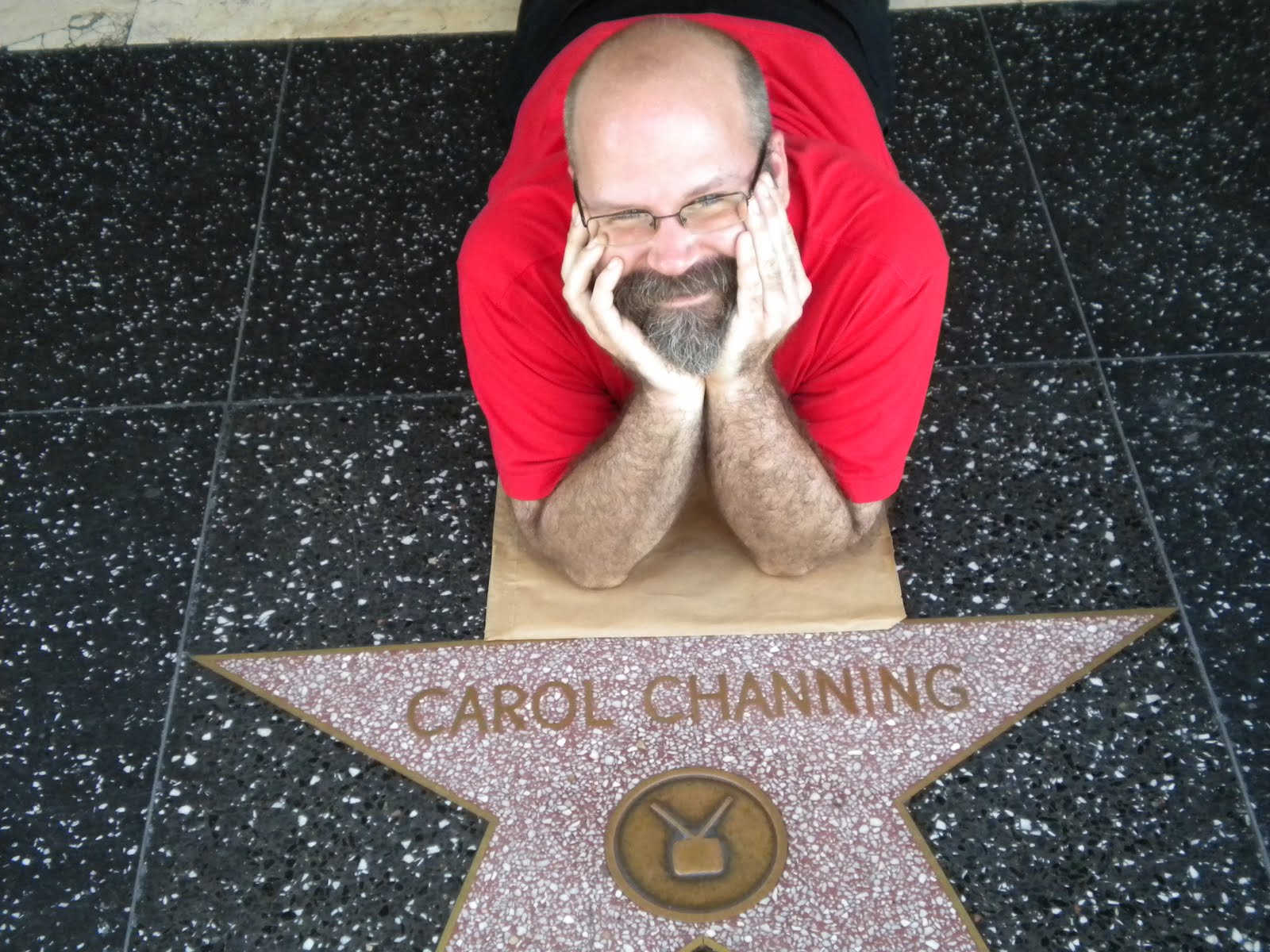 Behr Blather: Bear Searches for the Famous