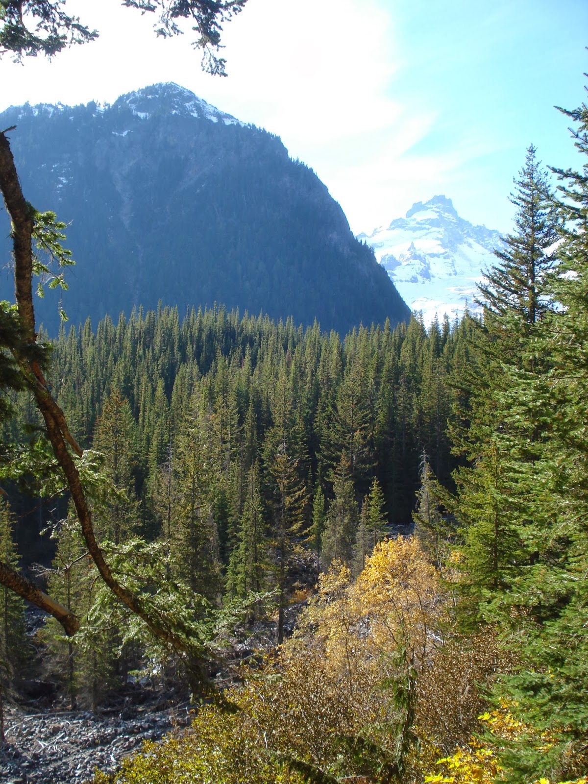 carlos nakpil santos-viola: CHIEF SEALTH