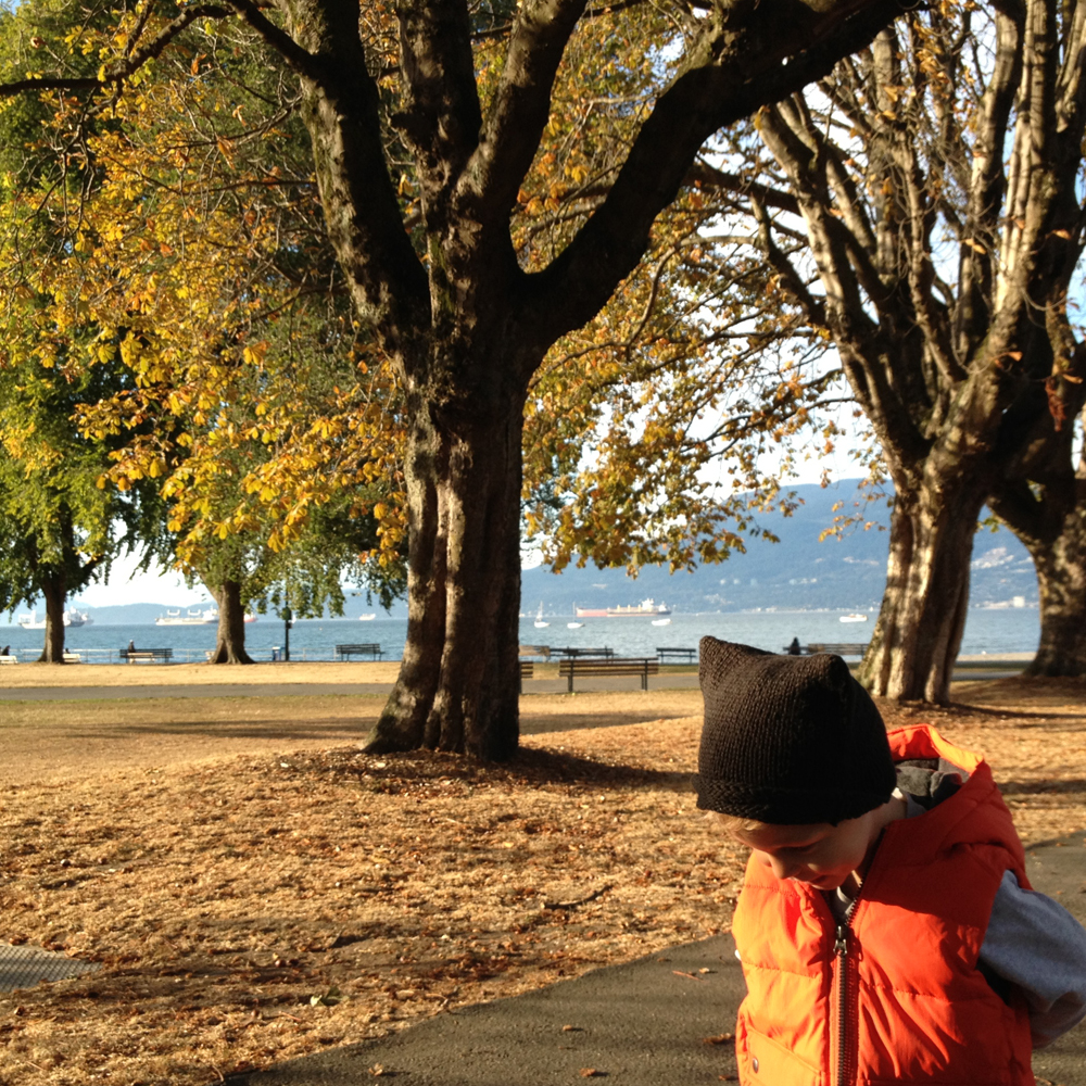 hundreds & thousands: bat | cat hat