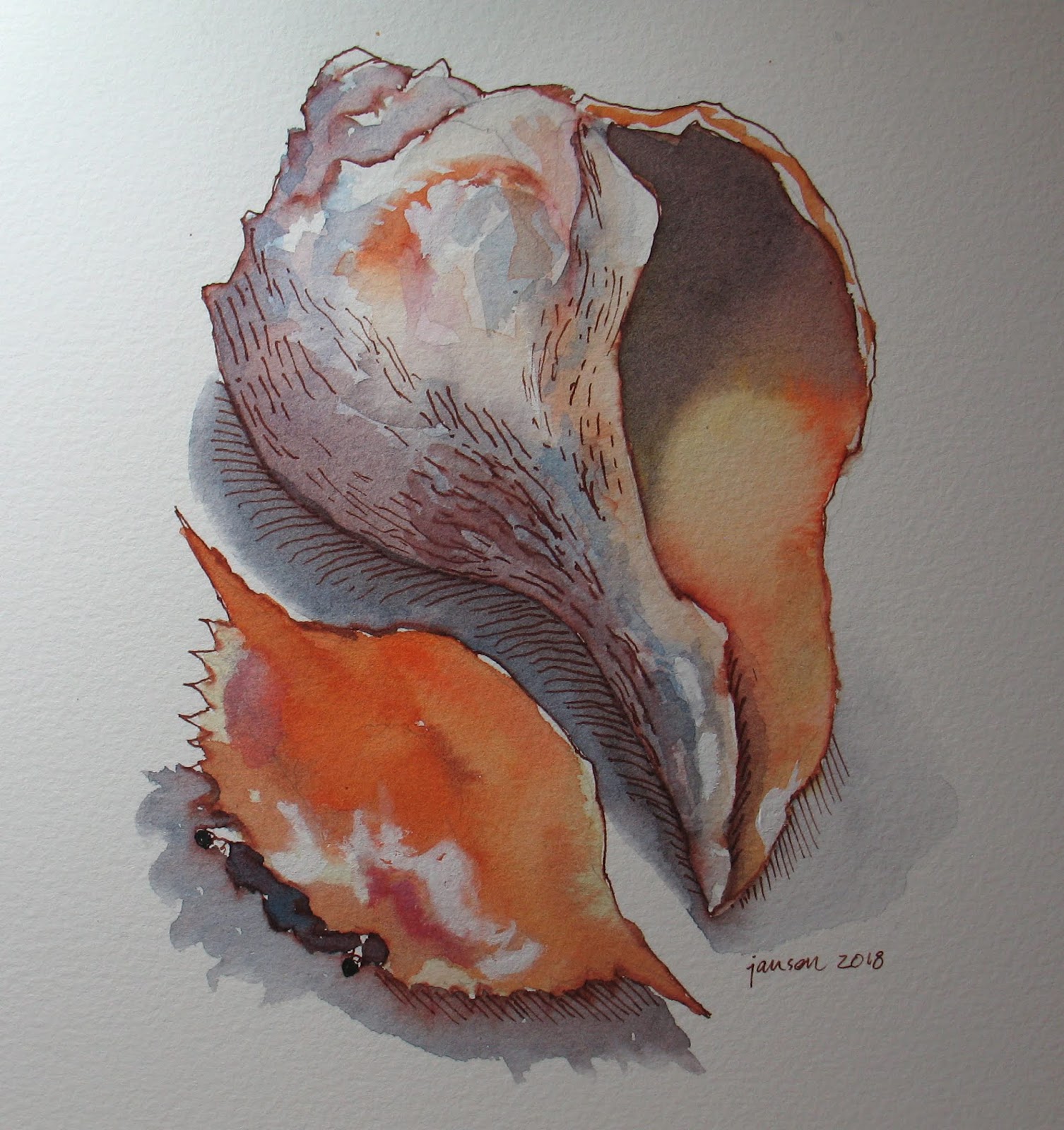 Nel's Everyday Painting: Shells: Watercolor, Pen and Ink - SOLD