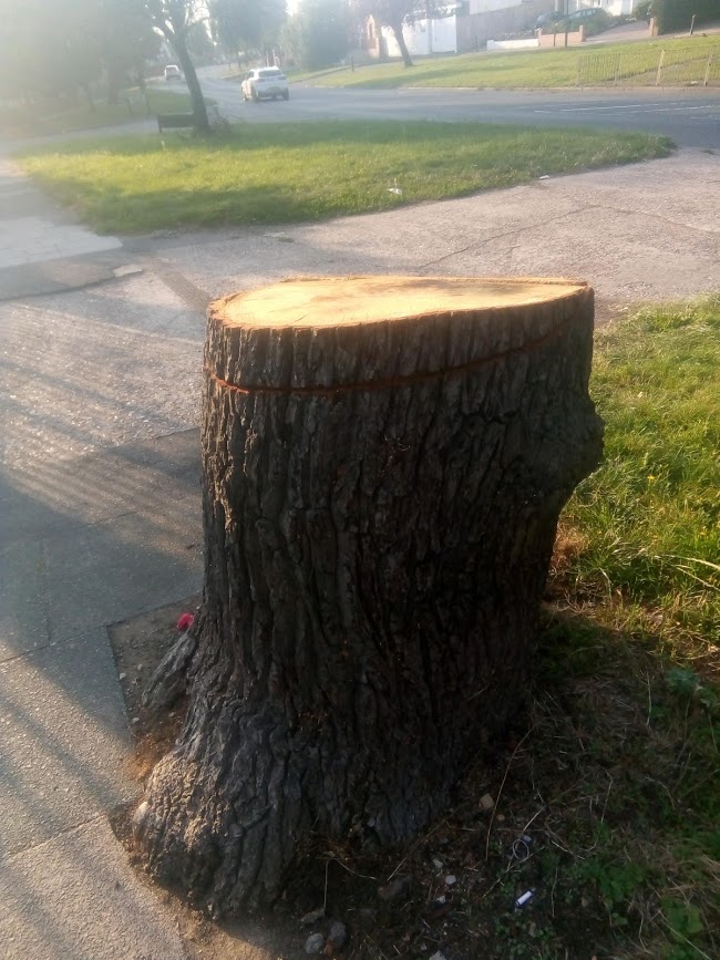 WEMBLEY MATTERS: Brent Council accused of mendacity over trees/paving ...