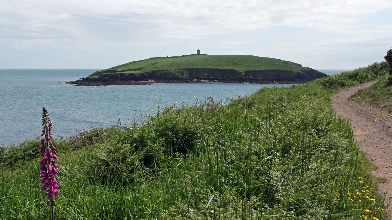 A Walk in Knockadoon