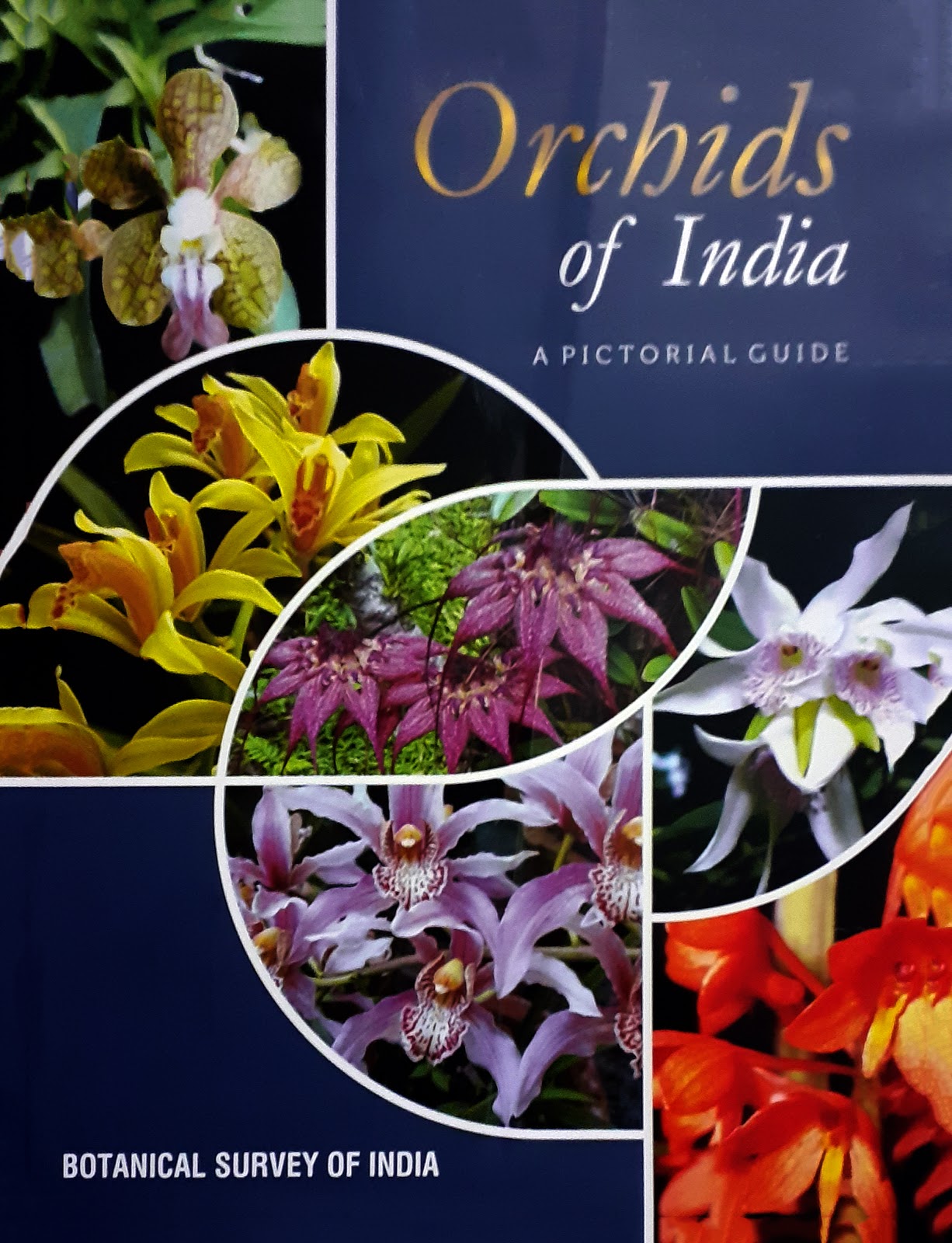 সতীশ মিত্র জ্ঞানকেন্দ্র (Satish Mitra Knowledge Centre): Orchids of ...