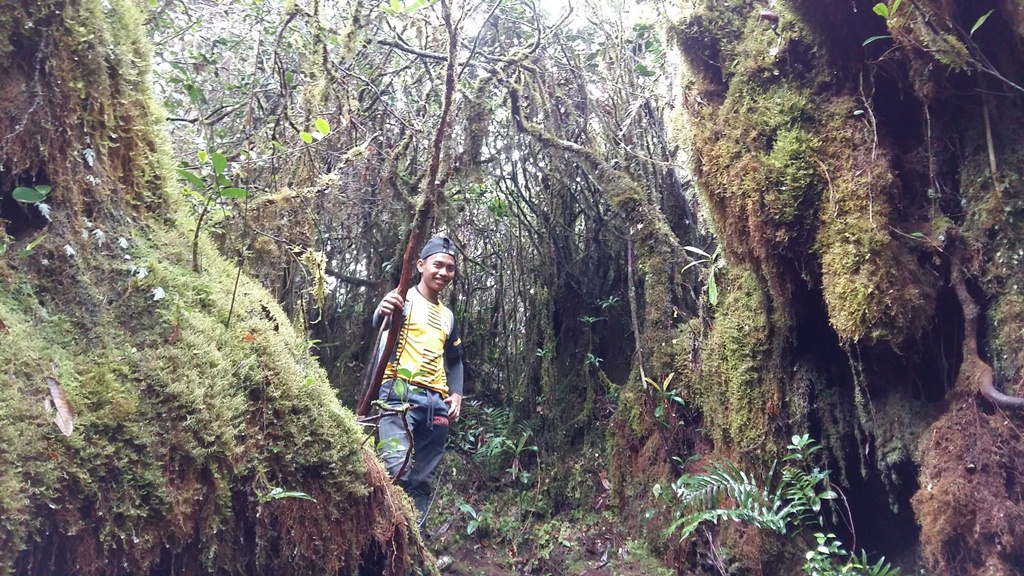 TRAVELOG: GUNUNG CHAMAH : Ouhhhhh...Cabaran Tanpa Henti