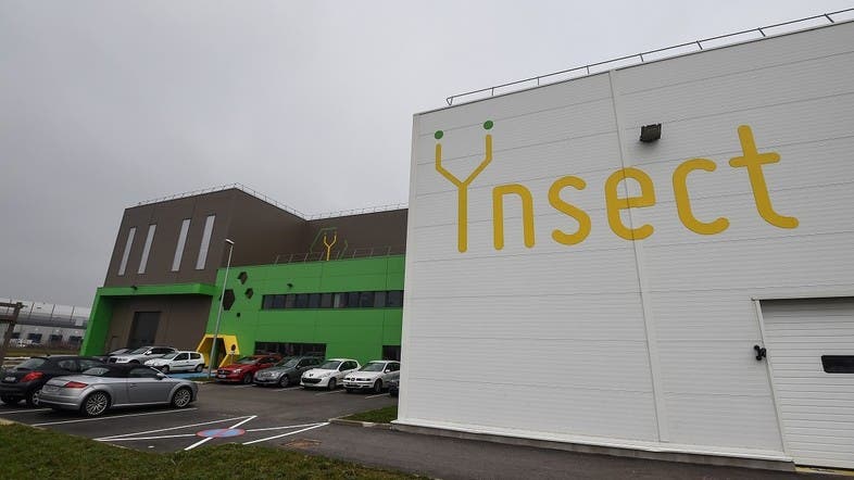 Ynsect to build world's biggest insect farm in France. ~ CURRENT ...