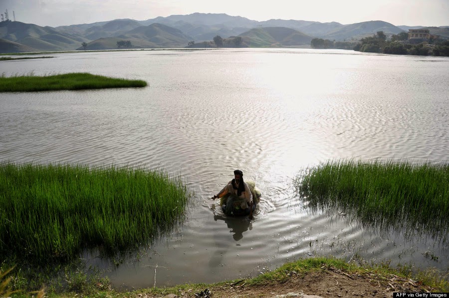 Logar Valley reeds and roosts | Maiwand Day