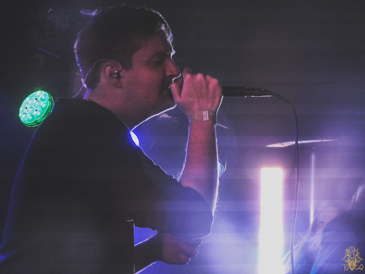 Feather Mountain: Nidus (Album review)