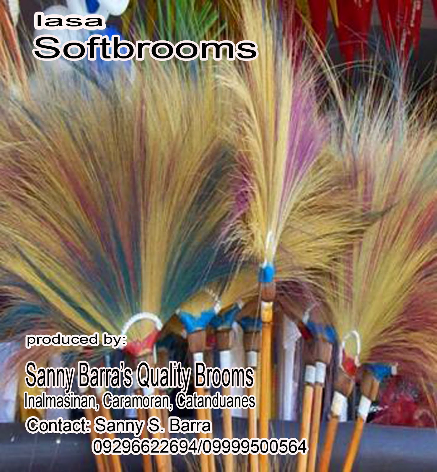DTI CARP BIKOL Products: Softbroom of Catanduanes, Philippines