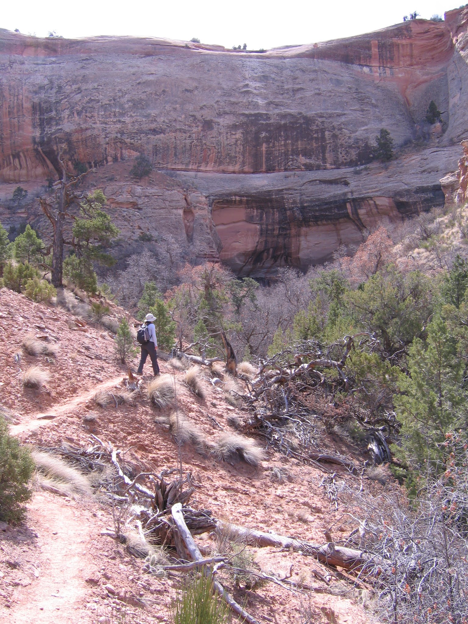 Nie tylko góry - zapiski z podróży dalekich i bliskich: Canyonlands NP ...