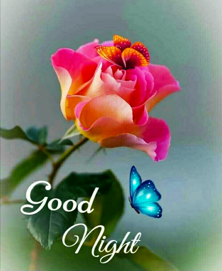 Good Night Images For Whatsapp