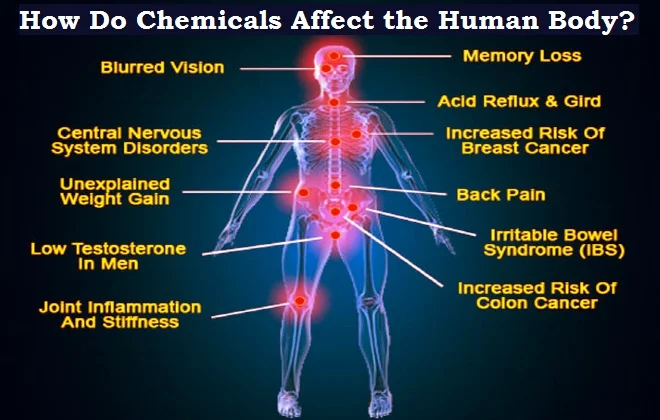 How Do Harmful Elements Affect the Human Body?