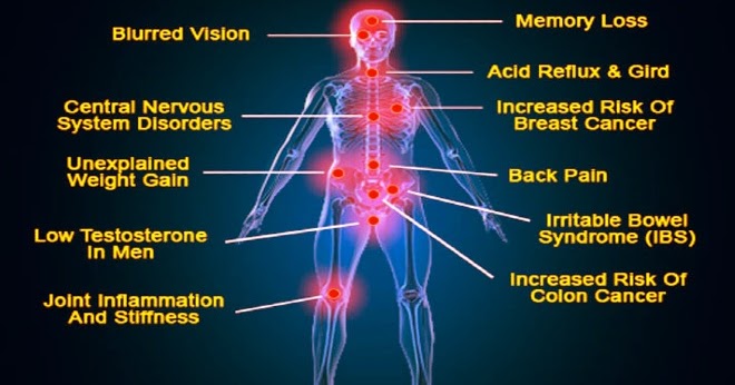 How Do Harmful Elements Affect the Human Body? - The Scientific World ...