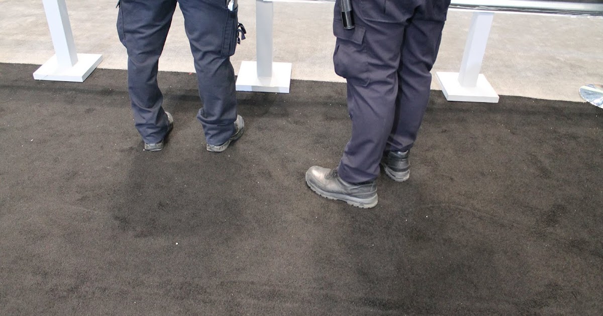 LESTER GIBBONS: Boots at the Auto Show!