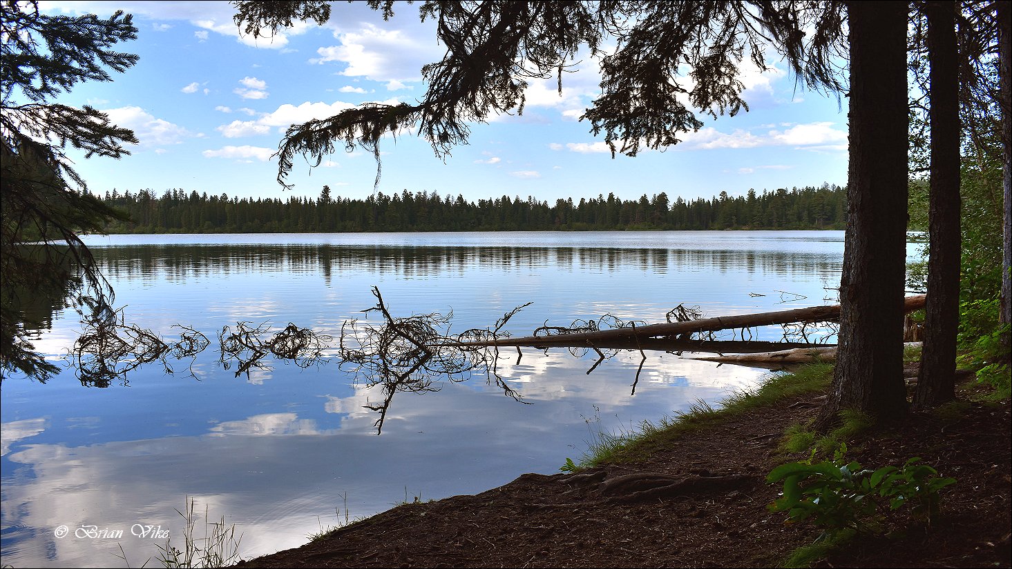 Brian Vike’s British Columbia Photographs: McConnell Lake Provincial ...