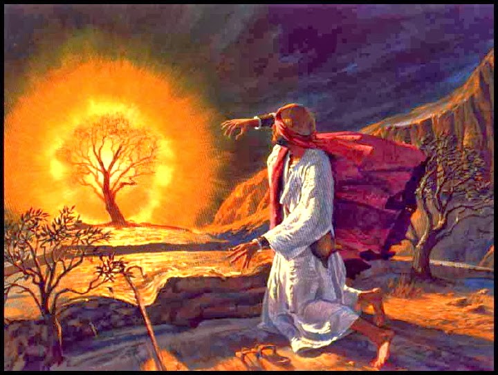 ABC PARISH: 2/23/14 - 3/2/14