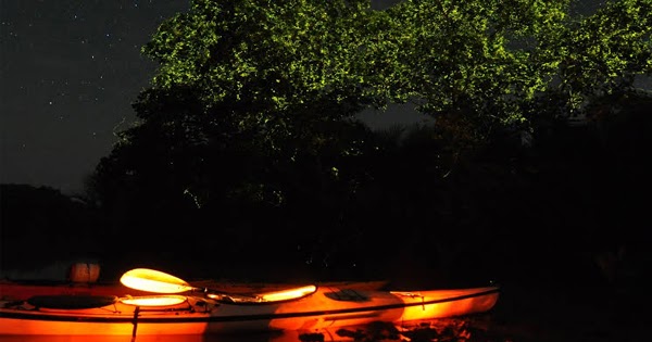 Bohol : Firefly Kayaking tour ~ Bohol Island Tour - WoW Bohol Package ...