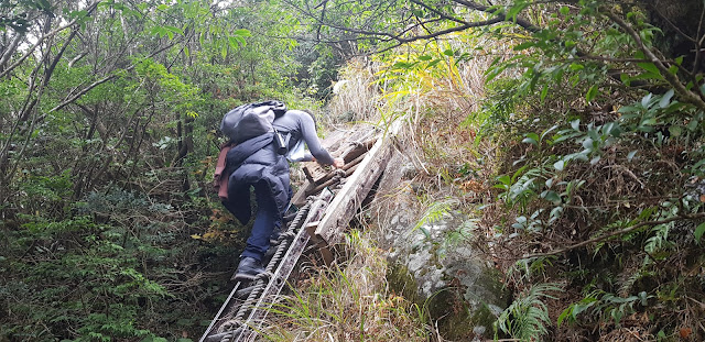 (開聞岳) Mt. Kaimon Hike